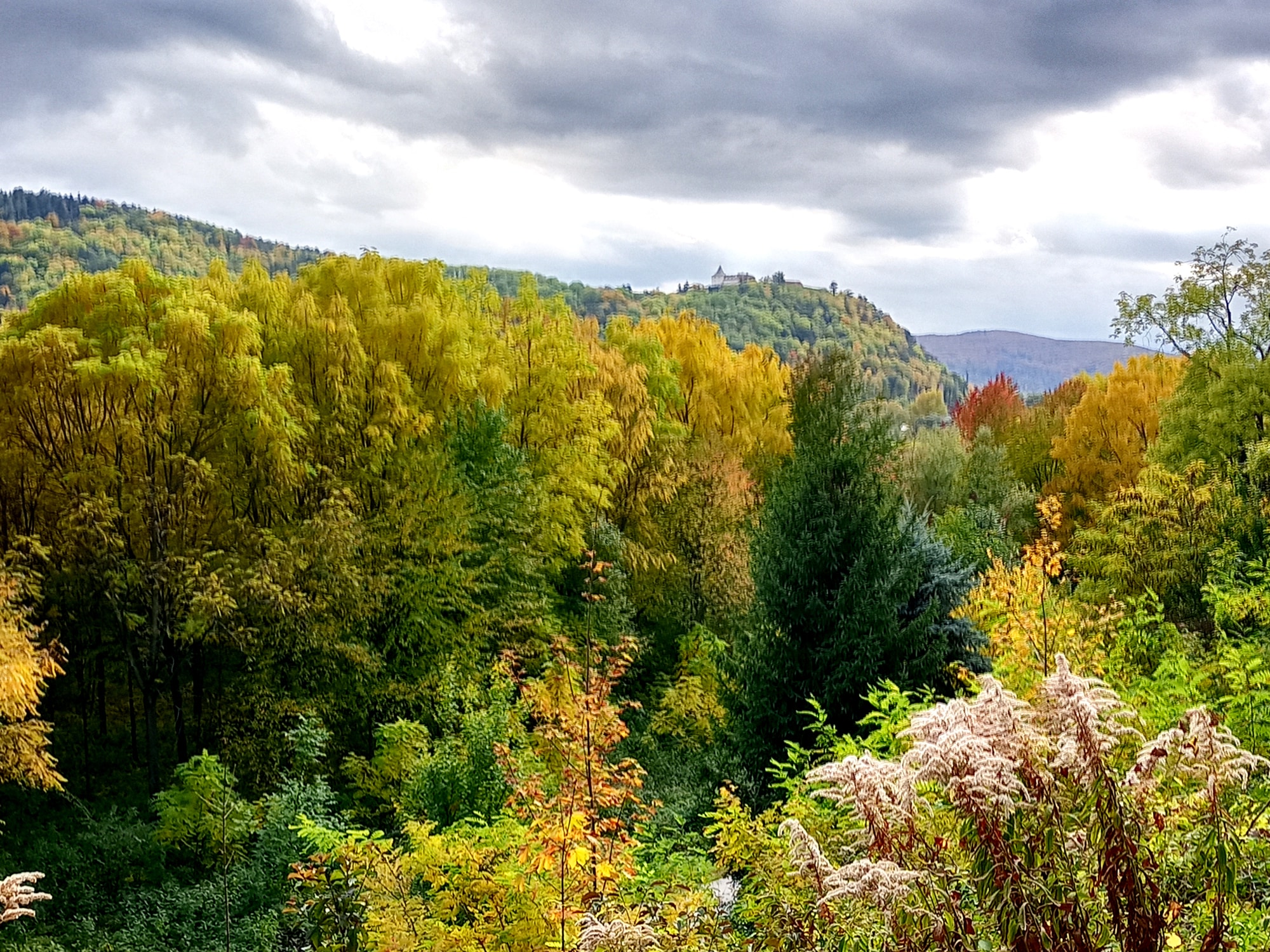 Ausflugstipp - Rundwanderweg Bad Erlach Waldfriedhof – Bote aus der ...