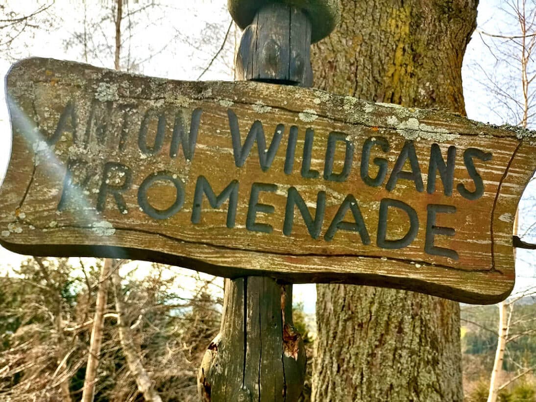 Grenzwanderung auf den Spuren von Anton Wildgans – Bote aus der ...